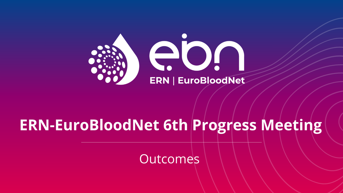 Check the ERN-EuroBloodNet 6th Progress meeting outcomes! | News ...